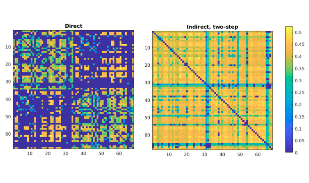 Modelling the Relationship Between Structural and Functional Connectomes | Jake Bewick
